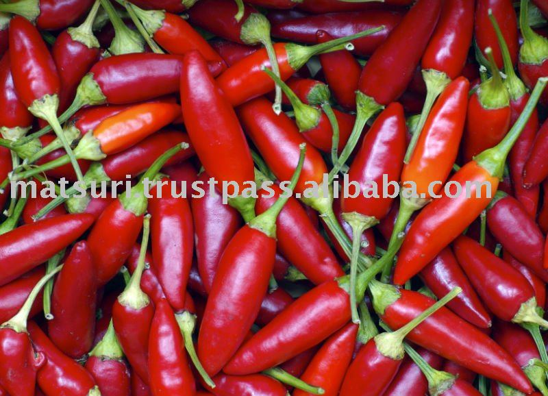 Chilli Fresh and Frozen, 100% Natural, Export Quality products,Thailand ... Chilli Fresh and Frozen, 100% Natural, Export Quality products,Thailand ...