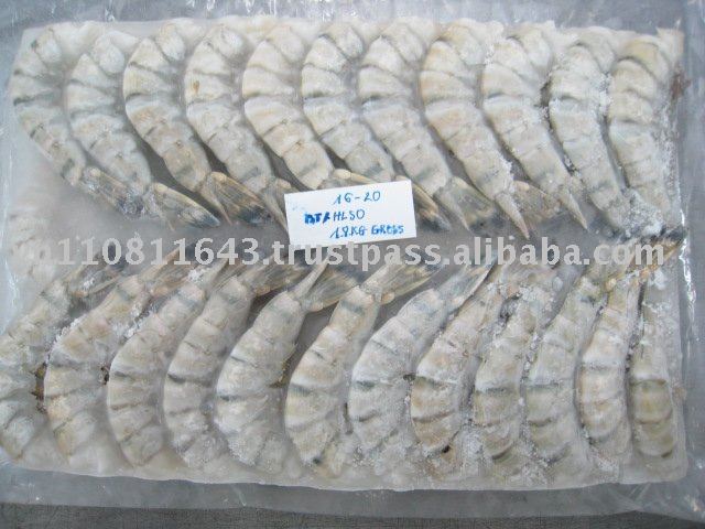 Head Less Shell On Frozen White Shrimp Products Vietnam Head Less
