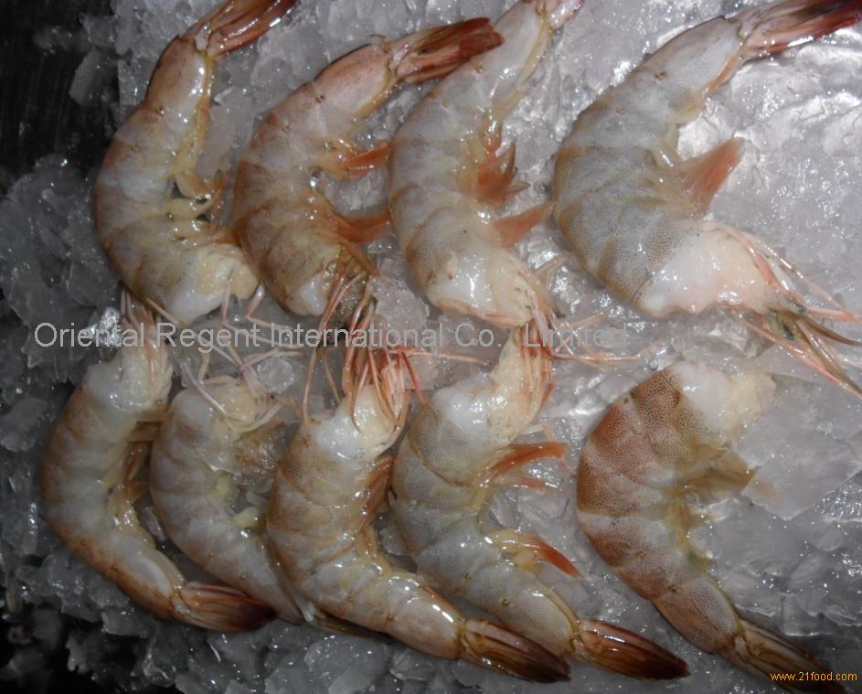 Vannamei Shrimp Hlso Products China Vannamei Shrimp Hlso Supplier