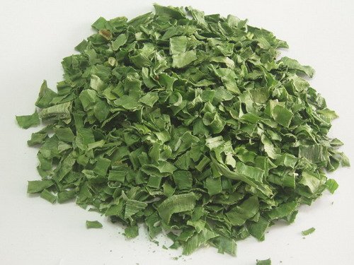 Pure Green Bunching Onion / Spring Onion,Thailand price supplier - 21food Pure Green Bunching Onion / Spring Onion,Thailand price supplier - 21food