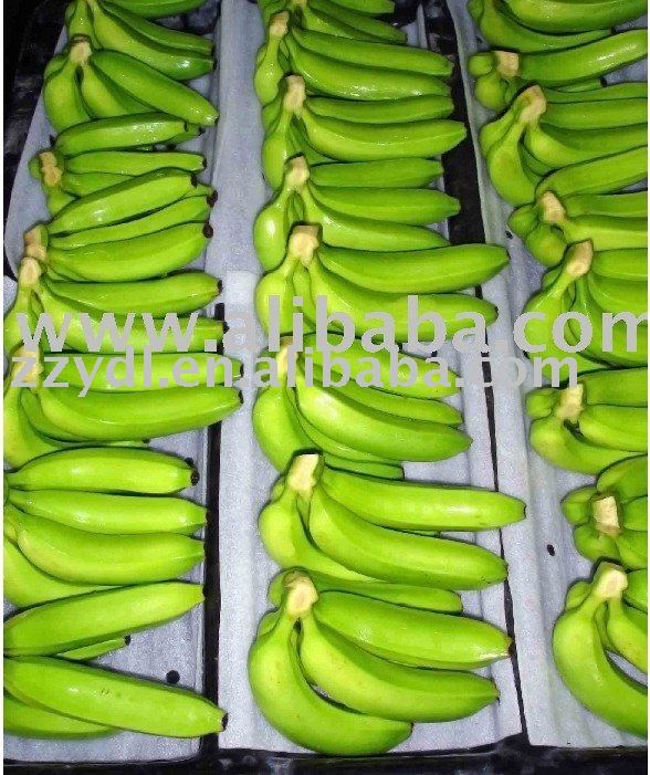 Banana/Fruits/Green Banana,China Crescent price supplier - 21food Banana/Fruits/Green Banana,China Crescent price supplier - 21food